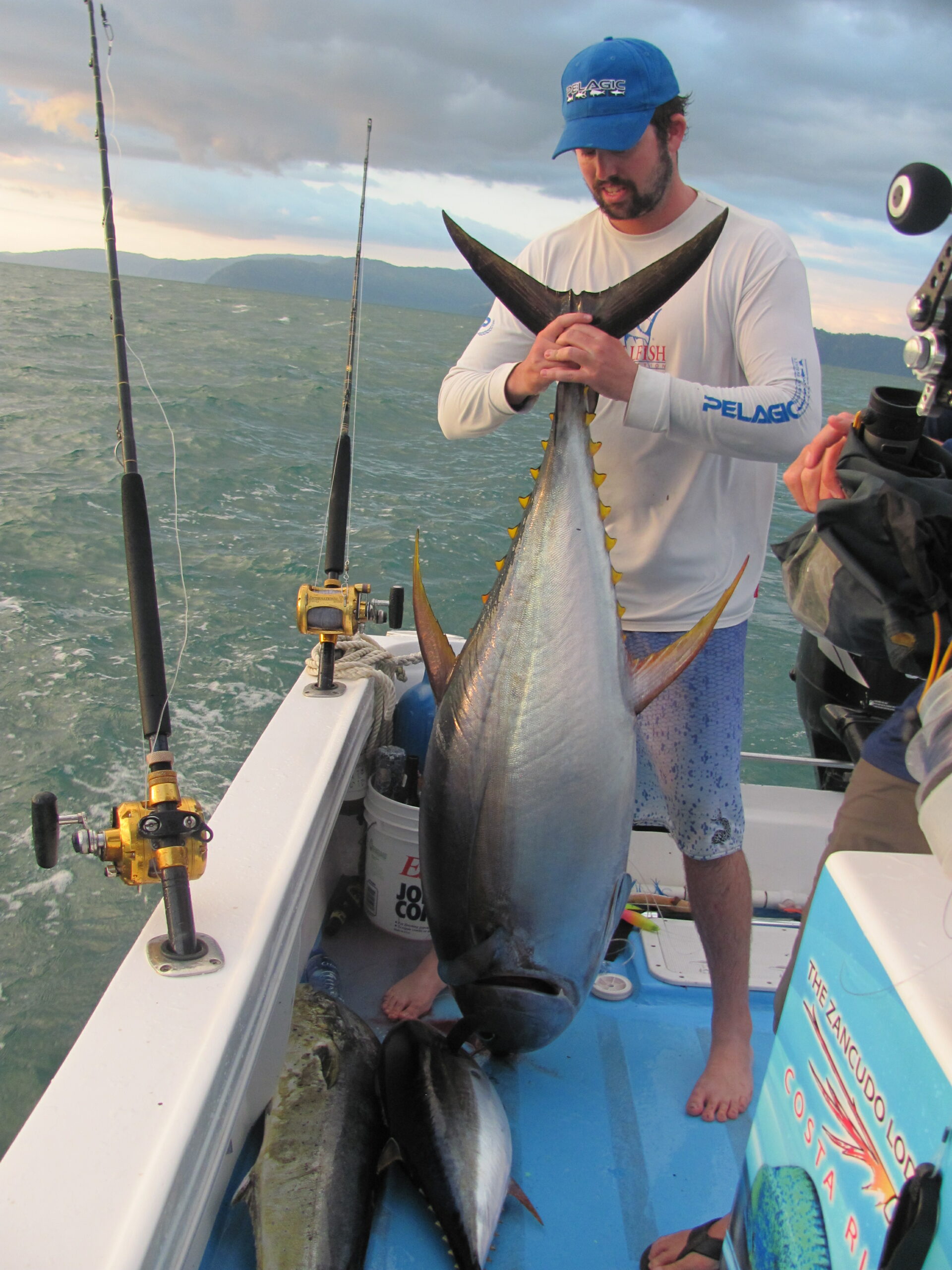 Chef Cosmo Goss: Fish Tricks - Fish Travel Eat