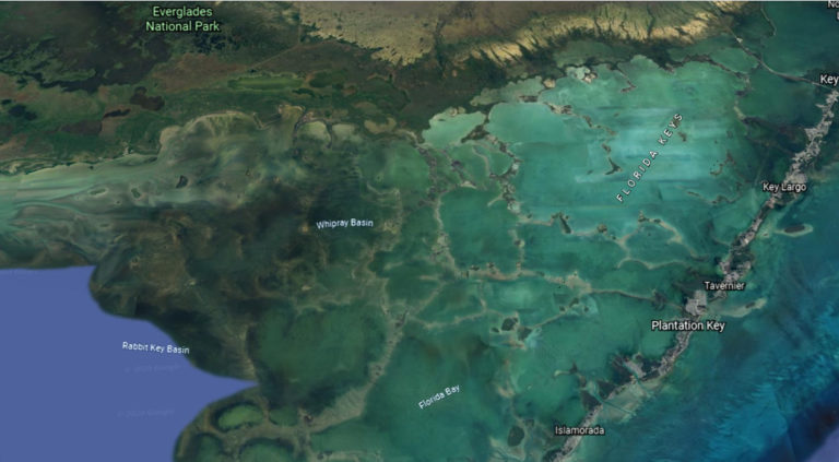 Capt. Mark Cockerham & the Florida Keys - Fish Travel Eat