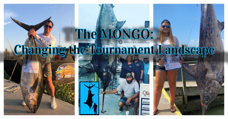 The Biggest Gulf Swordfish of 2020: Titan Up's MONGO - Fish Travel Eat