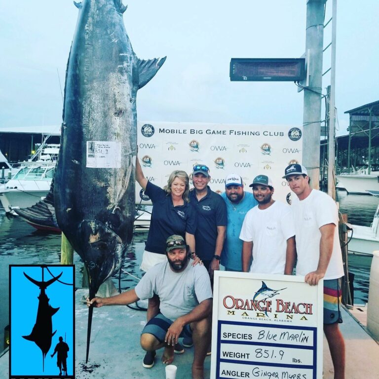 The MONGO: Changing the Tournament Landscape - Fish Travel Eat