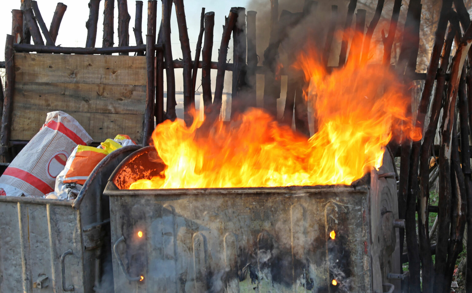 Catch & Cook: The Ultimate Jack Crevalle Recipe - Fish Travel Eat
