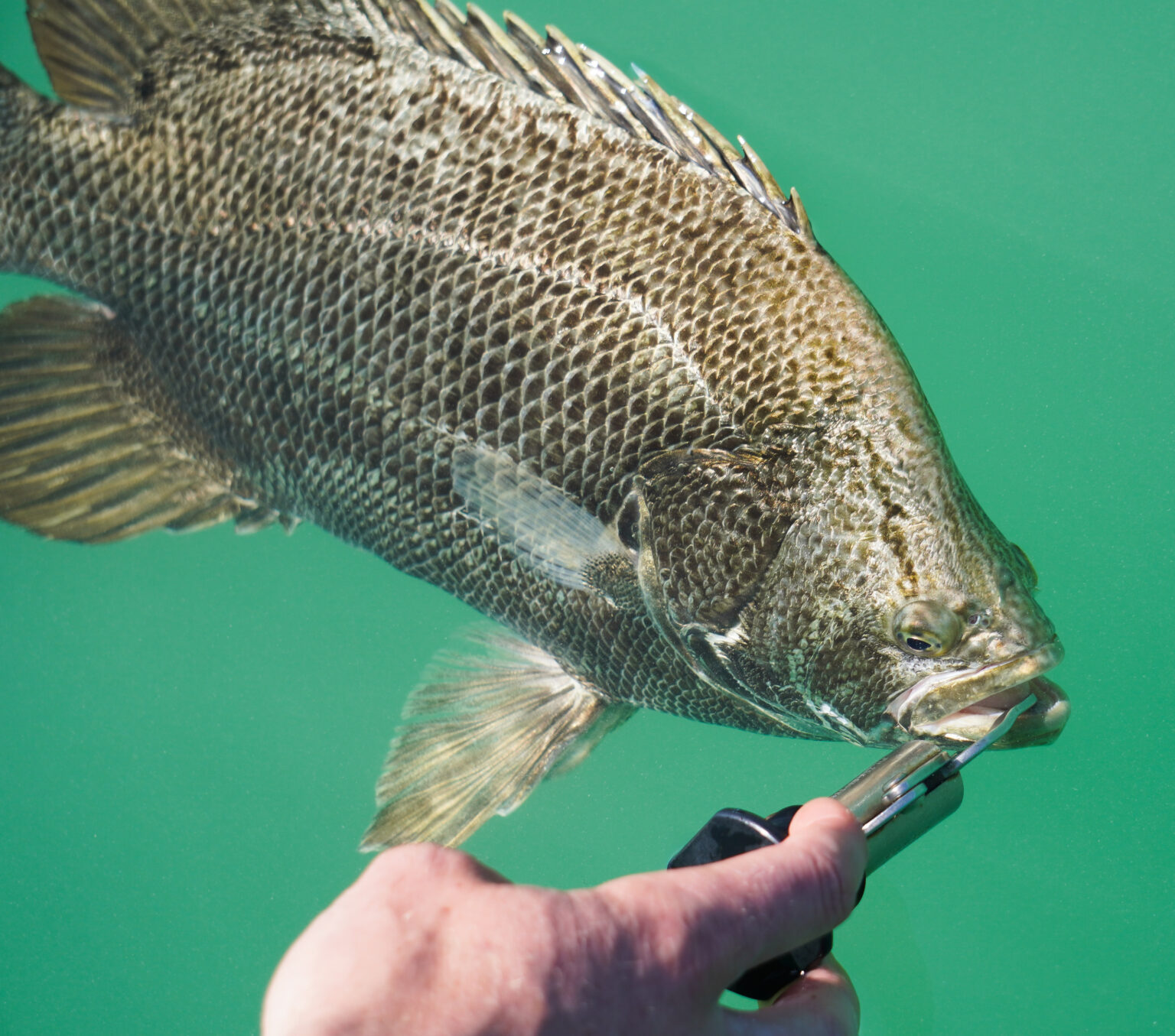 3 Days in Islamorada - Fish Travel Eat