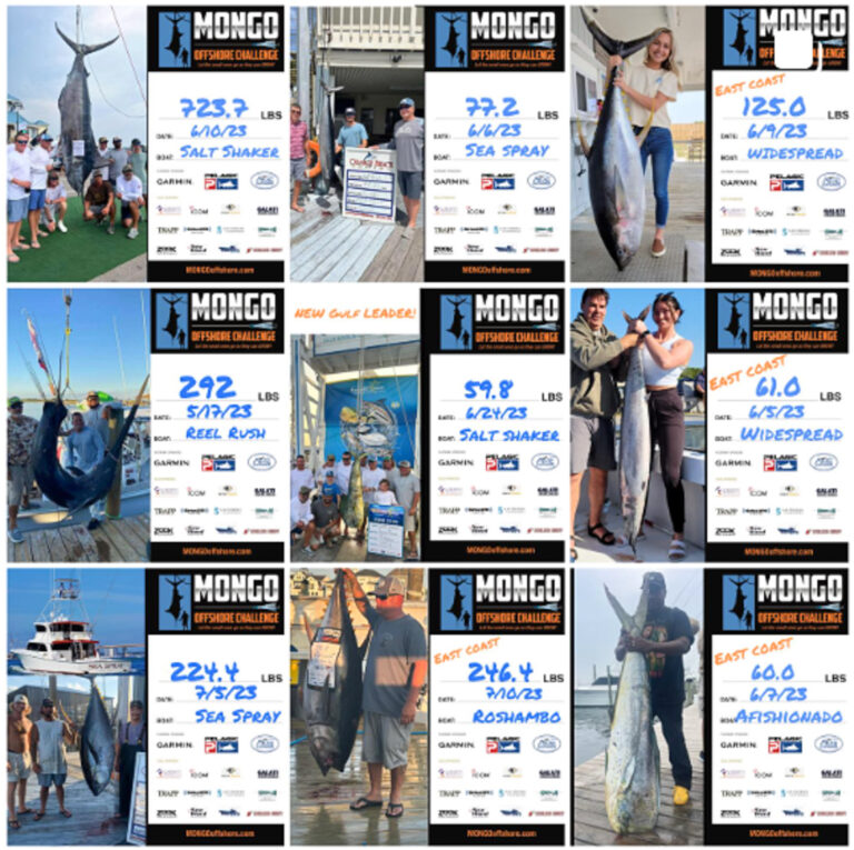 2023: A Banner Year for the MONGO Offshore Challenge - Fish Travel Eat