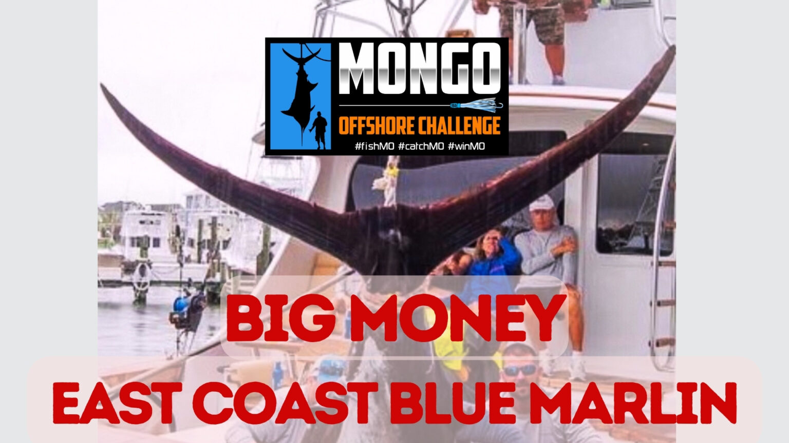 MONGO 2024: Big Money East Coast Blue Marlin - Fish Travel Eat