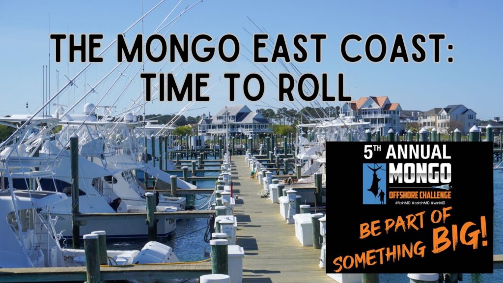 MONGO East Coast: Time to Roll - Fish Travel Eat