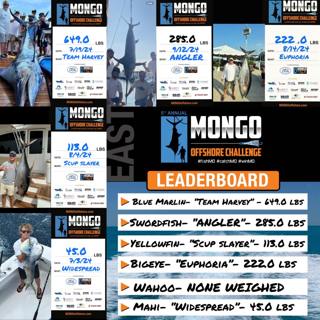 Celebrating the Epic 2024 MONGO Offshore Challenge - Fish Travel Eat